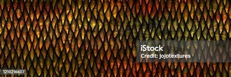드래곤 비늘 파충류 피부 긴 질감 3d 일러스트의 매끄러운 질감 0명에 대한 스톡 사진 및 기타 이미지 0명 건설 산업 공룡 Istock