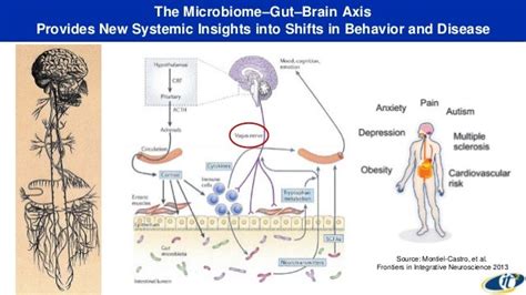 Using Advanced Technology To Better Diagnose Somatic Dysfunction