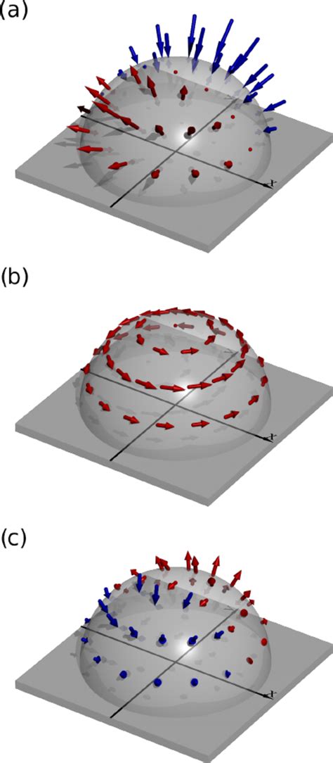 Calculated Fluid Flow Around A Beating Cilium In The Far Field Download Scientific Diagram