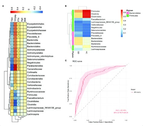 Spearman Correlation Analysis Of The Gut Microbiota With Clinical