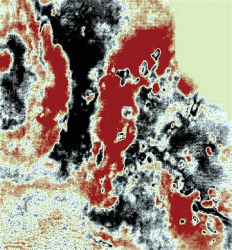 The Influence Of Spatial Sampling On Resolution CSEG RECORDER