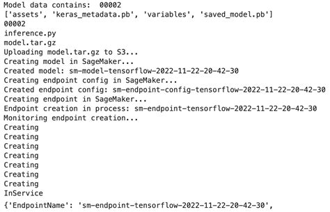 Automating Deployment Of Pre Trained Models On Amazon Sagemaker