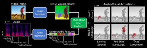 Visual Grounding Of Sound And Language Nvinio • Ai