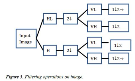 Hybrid Medical Image Fusion Using Wavelet And Curvelet Transform With