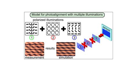 Two Dimensional Liquid Crystal Photoalignment By Multiple Illumination