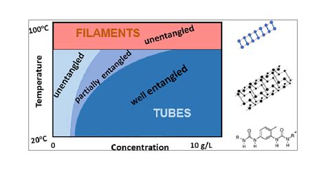 Complete Dynamic Phase Diagram Of A Supramolecular Polymer Macromolecules