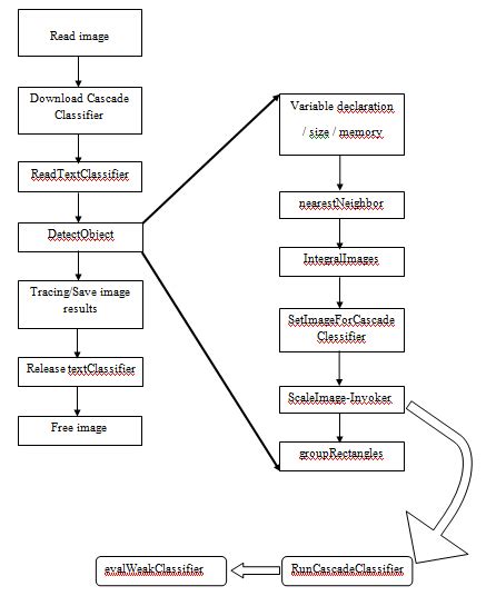 Algorithm As Implemented On C C Download Scientific Diagram
