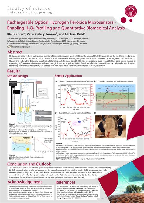 Pdf Rechargeable Optical Hydrogen Peroxide Microsensors Enabling H2o2 Profiling And