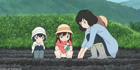 Planting Seeds  Planting Planting Seeds Gardening Discover