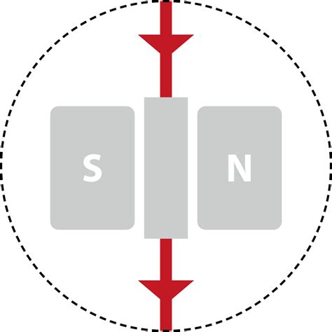 Tumor Reactive T Cells Manufacturing Til Therapy Miltenyi