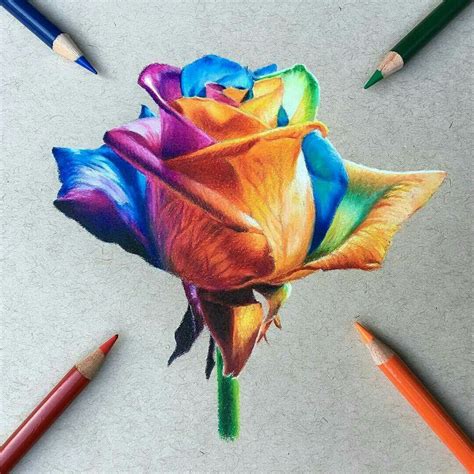Flower Drawing With Colored Pencils