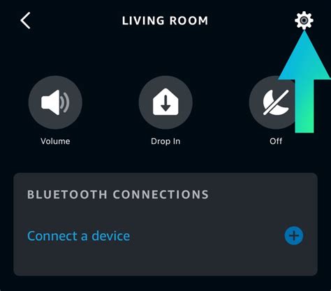How To Find Echo Dot MAC Address Any Echo Device