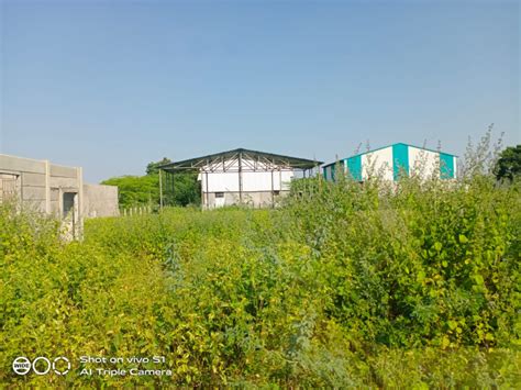 8000 Sqft Industrial Land For Sale In Nardana Dhule Rei1130213
