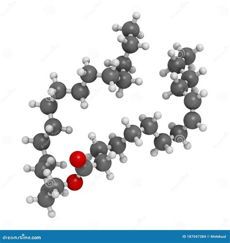 Myristoleic Acid Omega 5 Fatty Acid Molecule Skeletal Formula Cartoon Vector Cartoondealer