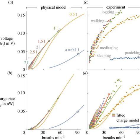 Model Experiment Set Up A An Oscillating Flow Causes An Oscillating Download Scientific