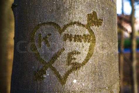 Heart Carved In Tree Trunk Stock Image Colourbox