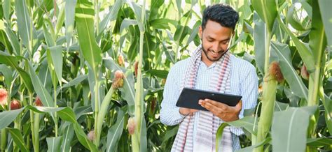 Agristack A Dpi For Farmers And The Agriculture Ecosystem Microsave Consulting Msc