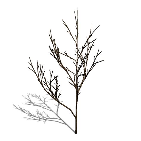 Procedural Tree Generation Treegen Part 1 Caners Blog