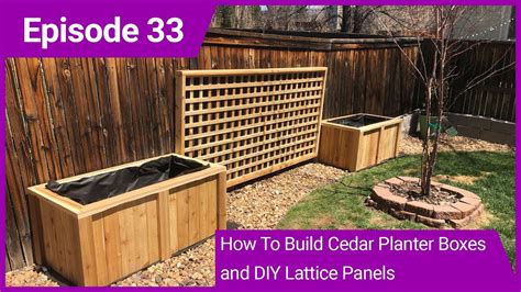 Diy Plant Lattice At Ethan Fuhrman Blog
