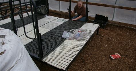 Meat Assembling The Farrowing Crates