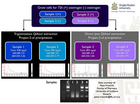 Comparison Of Nano Drop And RNA Integrity Number RIN Data ResearchGate