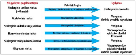 Lėtinis Rinitas Ar Visada Priežastis Tik Alergija Ligoslt