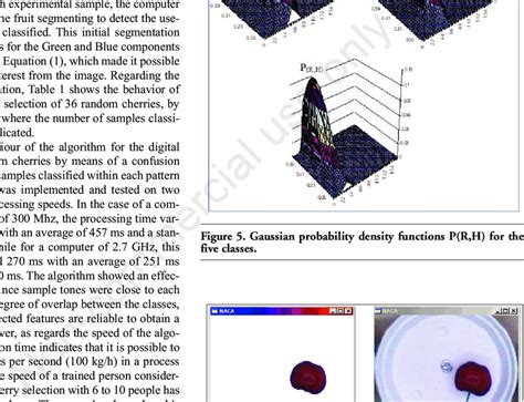 typical sample of segmentation displayed by the computer code