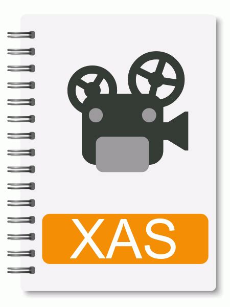 Xas 文件使用指南