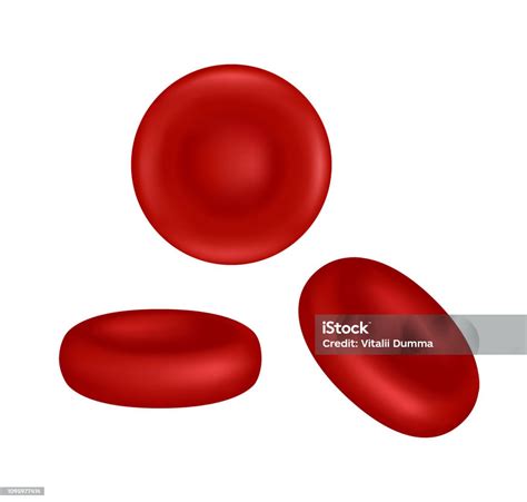 Ilustrasi Vektor Sel Darah Merah Atau Eritrosit Ilustrasi Stok Unduh Gambar Sekarang Darah