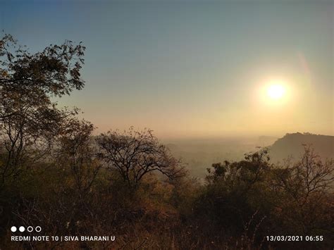 Redmi Note Camera Samples