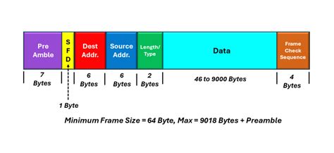 what are the various types formats of ethernet frames sierra