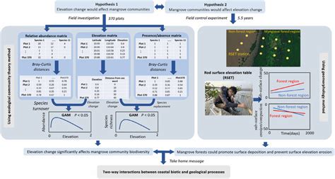 Methodological Flowchart For Discerning Whether Geomorphological And