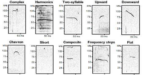 Examples Of Spectrograms Of Different Usvs Categories Emitted By