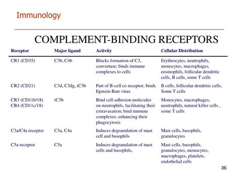 Ppt Immunology Powerpoint Presentation Free Download Id4285279
