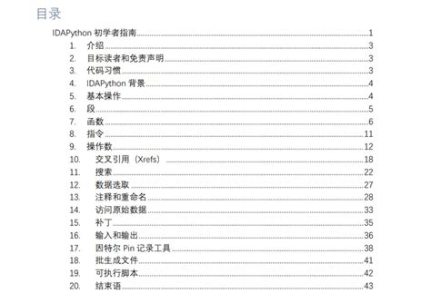 idapython 初学者指南 中文翻译版 pdf电子书下载 站长工具网