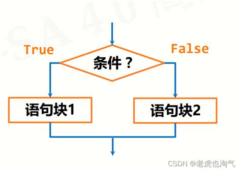 Python程序的分支结构（专题） 阿里云开发者社区