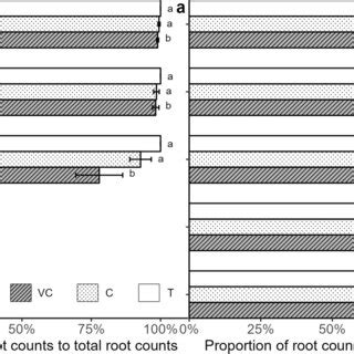 The Proportions Of Visually Coloured VC And Total Coloured C Root Download Scientific