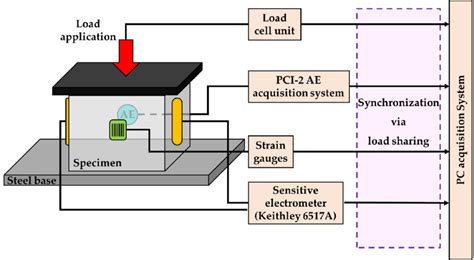 The Experimental Set Up For The Concurrent Recordings Of The Axial Download Scientific Diagram