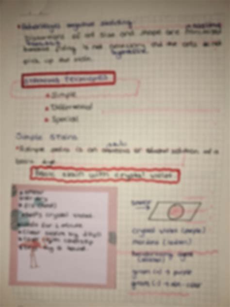 SOLUTION Microbiology Week Observing Microorganisms Through A Microscope Studypool