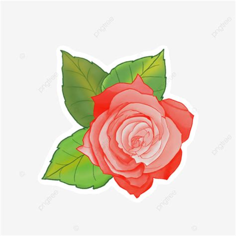 장미 꽃 수채화 장미 예술 꽃꽂이 예술 귀여운 예술 PNG 일러스트 및 PSD 이미지 무료 다운로드 Pngtree