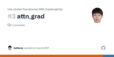 attn grad · issue 3 · hila chefer transformer mm explainability · github