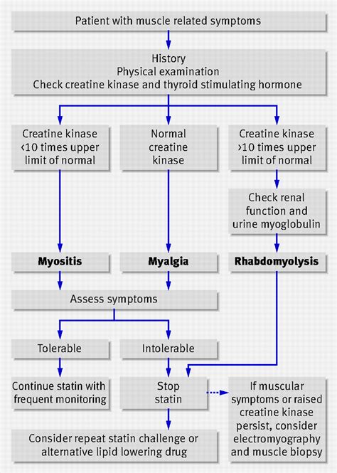 Myopathy Causes Symptoms Diagnosis And Treatment Gptei
