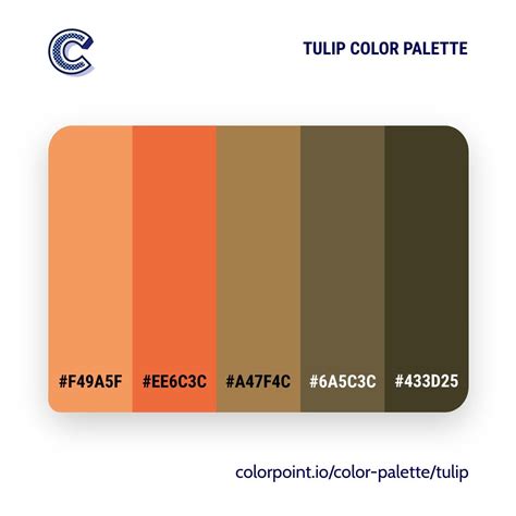Warm And Inviting Tulip Color Palette