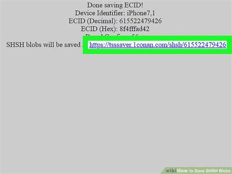 how to save shsh blobs 11 steps with pictures wikihow