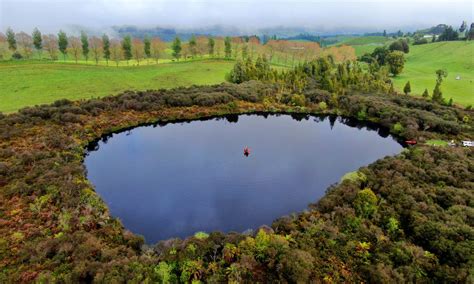 Deterministic Processes Drive National‐scale Patterns In Lake Surface Sediment Bacteria And