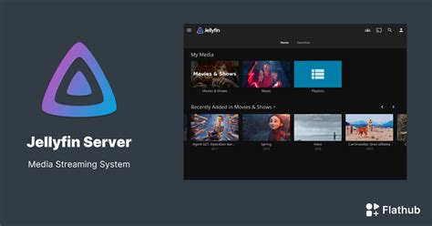 install jellyfin server on linux flathub