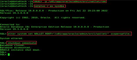 Oracle TDE Transparent Data Encryption