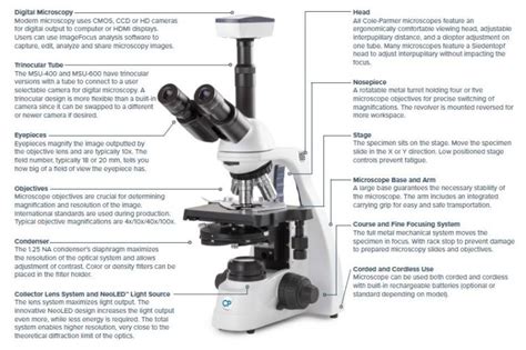 What Is A Compound Microscope Antylia Scientific Blog