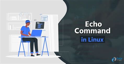 how to run echo command in linux mohammad abdullah ansari posted