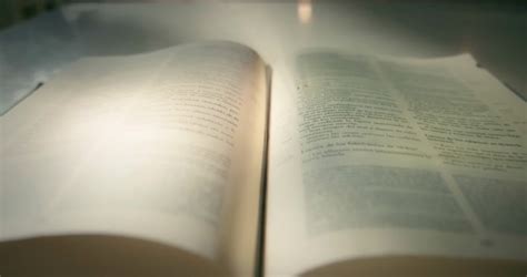 Study Object Stock Footage Royalty Free Video Clips Storyblocks